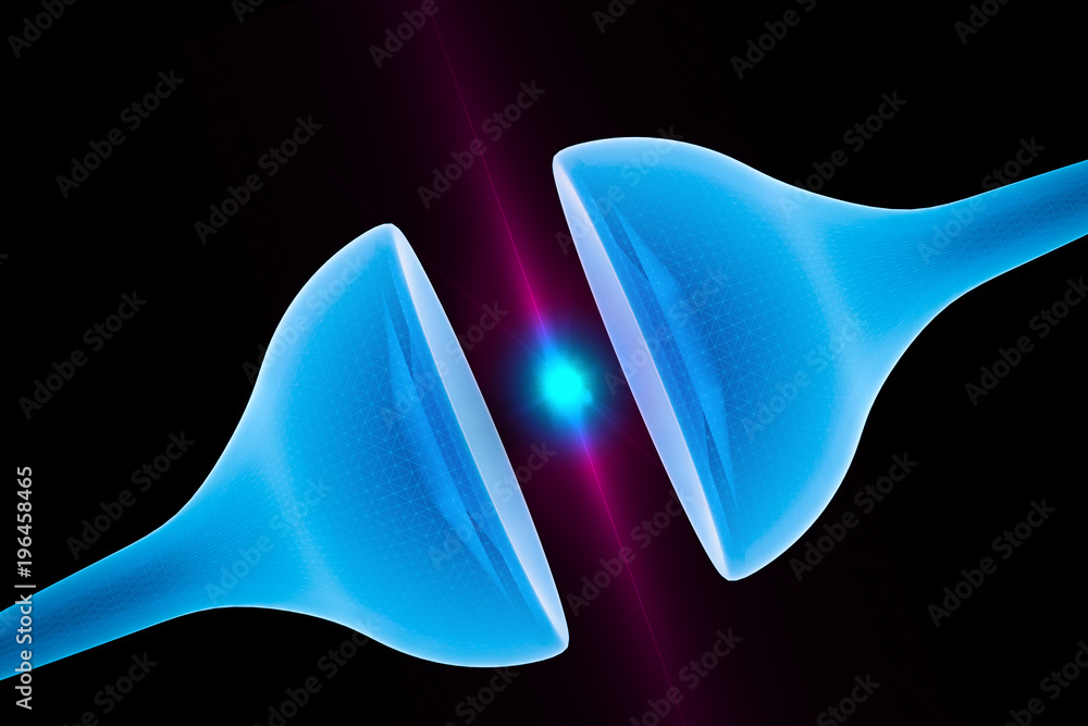 Synapse between two neurons neural synapse receptors neuron link neural ...