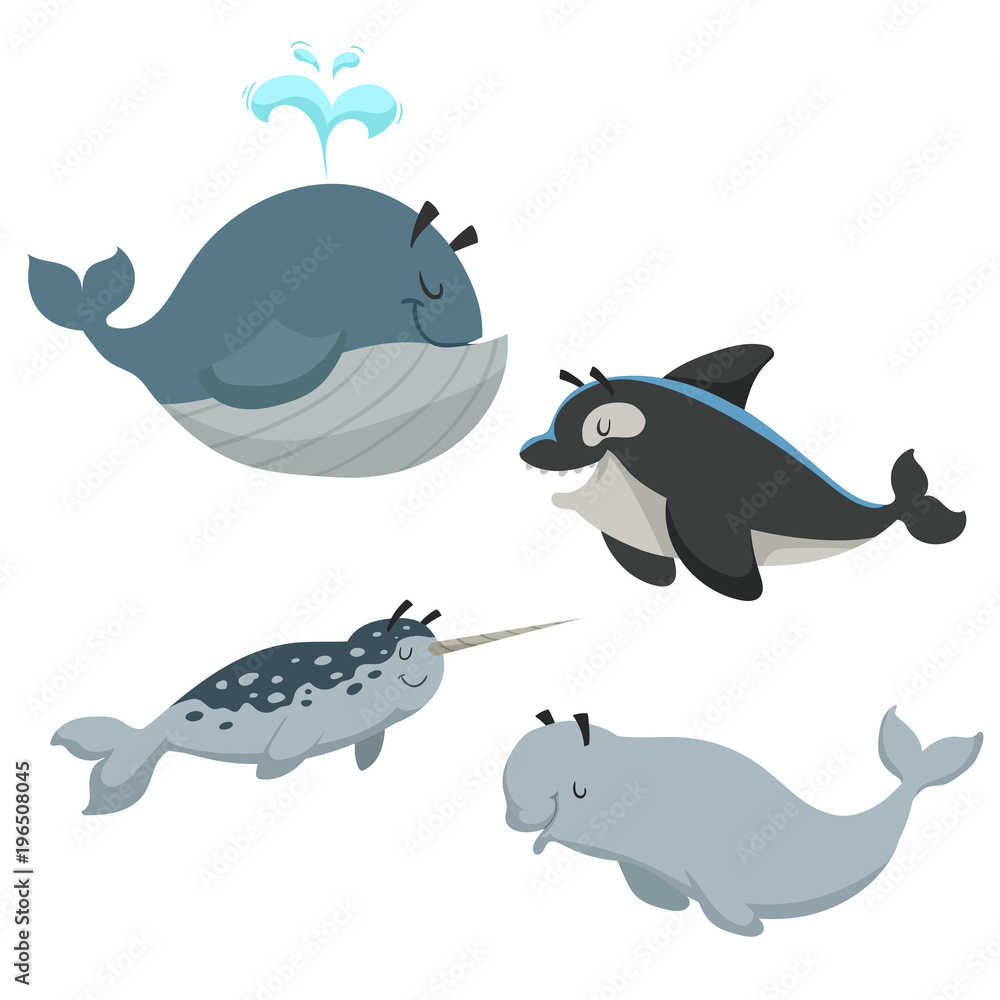 Killer Narwhal