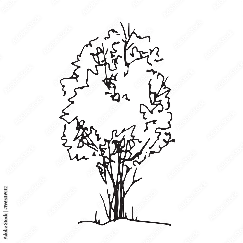 Shrub hand drawn sketch, freehand drawing Stock Vector | Adobe Stock