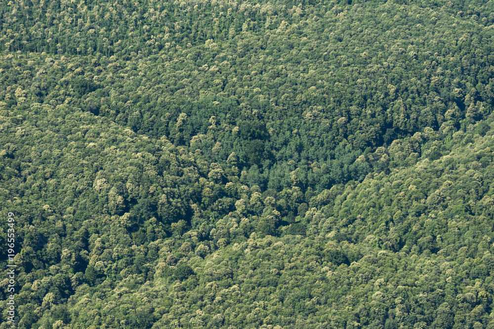 Aerial image of forests covering the volcanic zone of Colli Albani ...