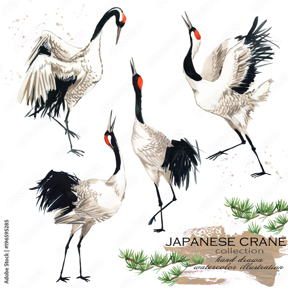 japanese crane hand drawn watercolor illustration set Stock ...