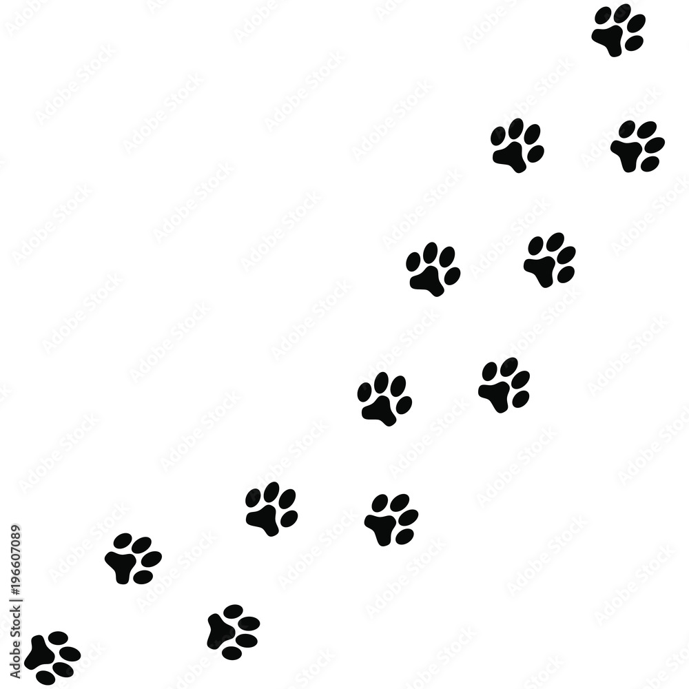 Black dog paw prints isolated on white background. Vector illustration ...