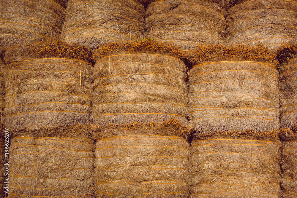 stock de lin Stock Photo | Adobe Stock