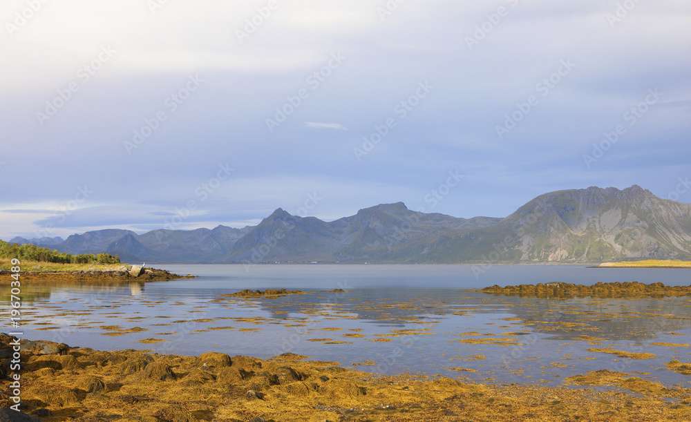 Scenic fjord on Lofoten islands with towering mountain peaks. Lofoten ...