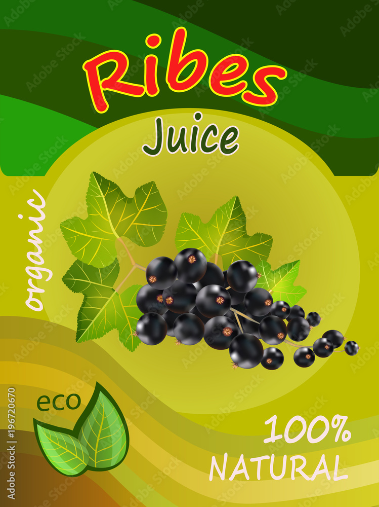 Vector illustration of a juice of a black currant packaging design ...