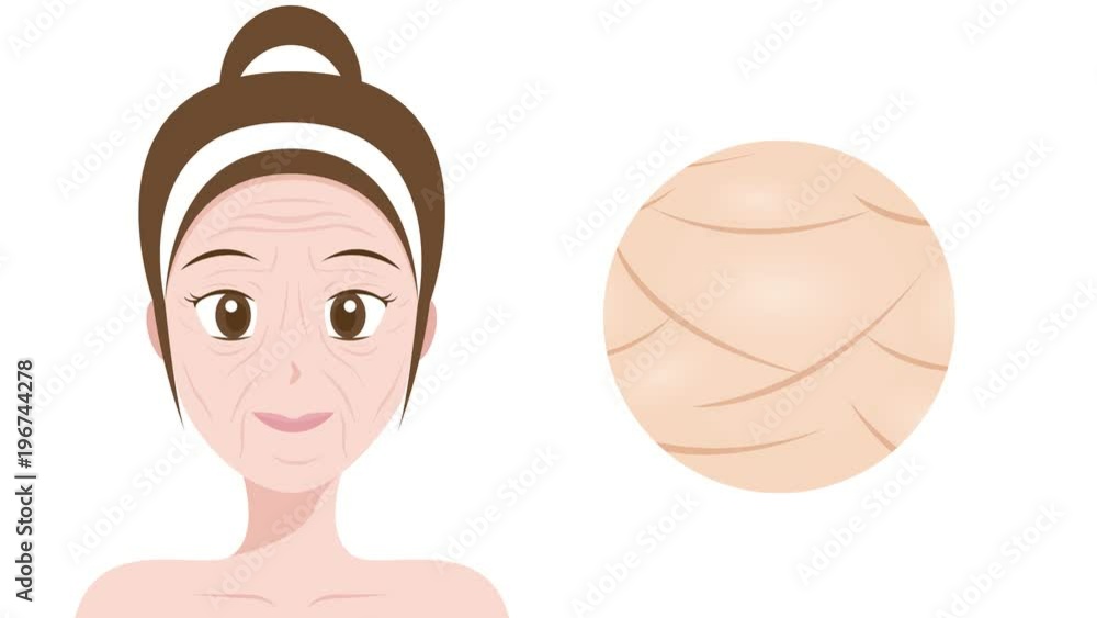 aging skin turn to young . losing collagen graphic animation with human ...