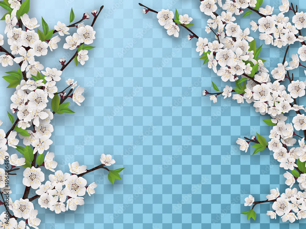 Set of spring blooming fruit tree branches. White flowers and green ...