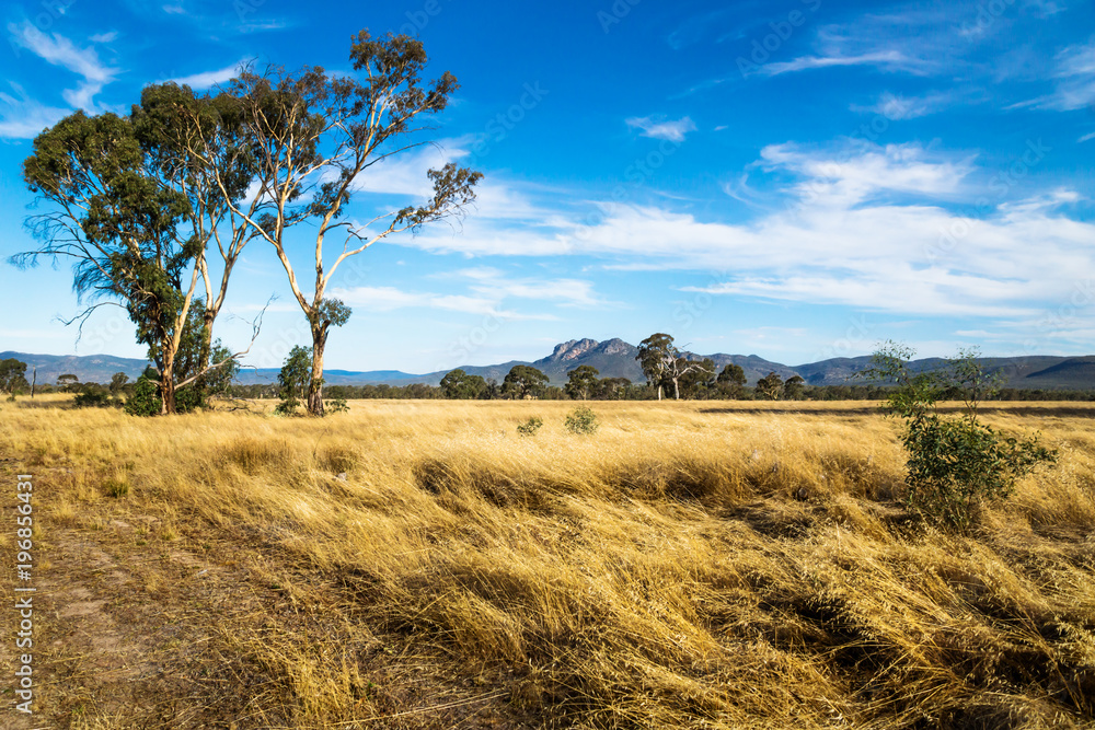 Australian Plains Background