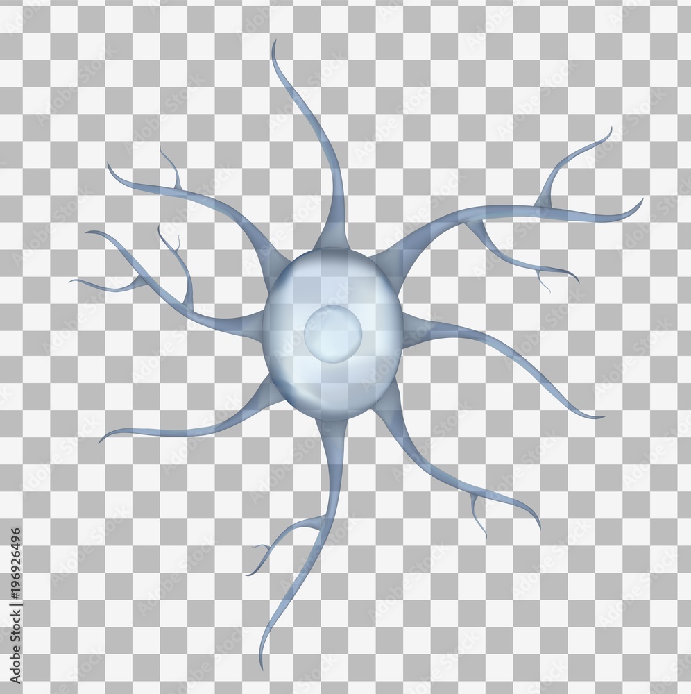 3d Blue human neuron isolated on transparent background. Realistic ...