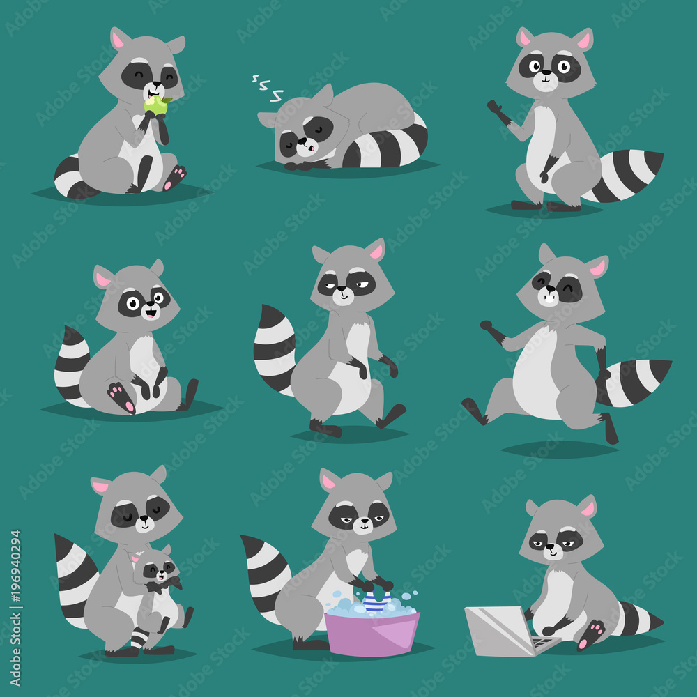 Raccoon vector illustration cartoon set of fun smile drawing artwork ...
