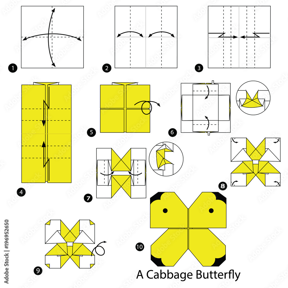 step by step instructions how to make origami A Cabbage Butterfly Stock ...
