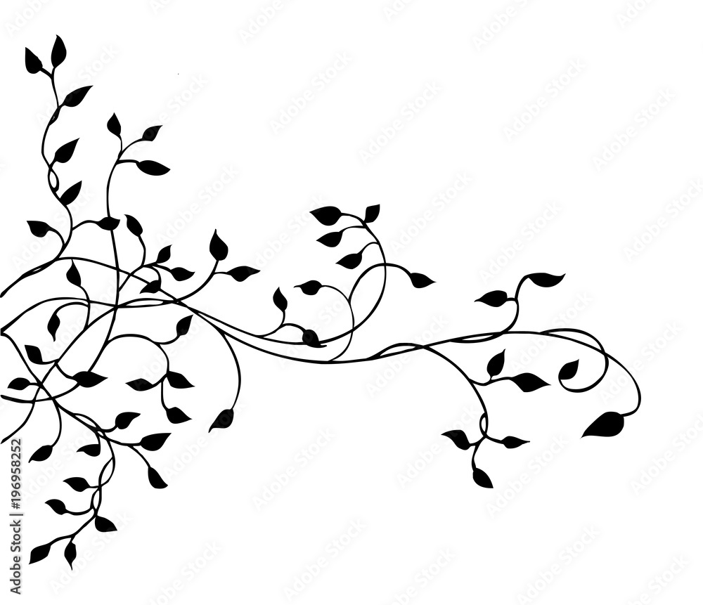 ivy vine vector design element, pretty leaves in elegant hand drawn ...