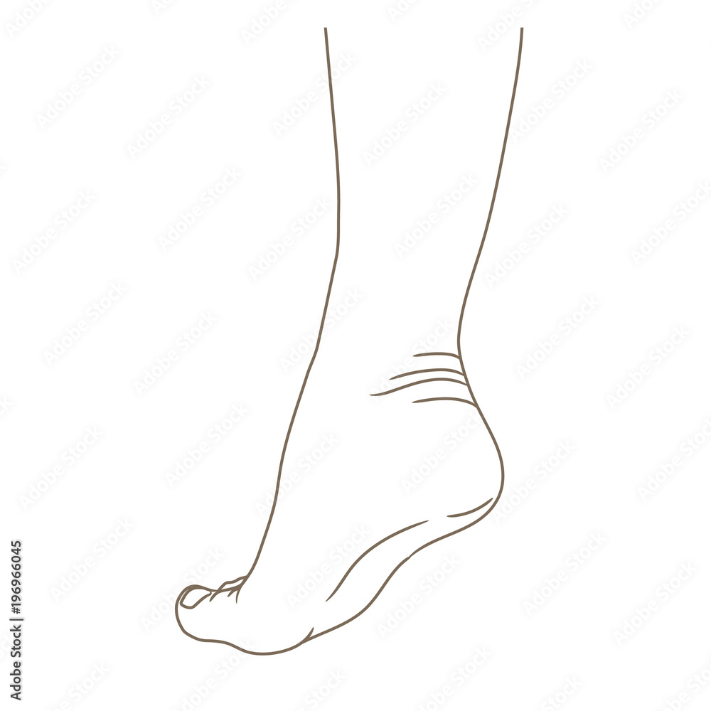 Female legs barefoot, side view. Vector illustration, hand drawn ...