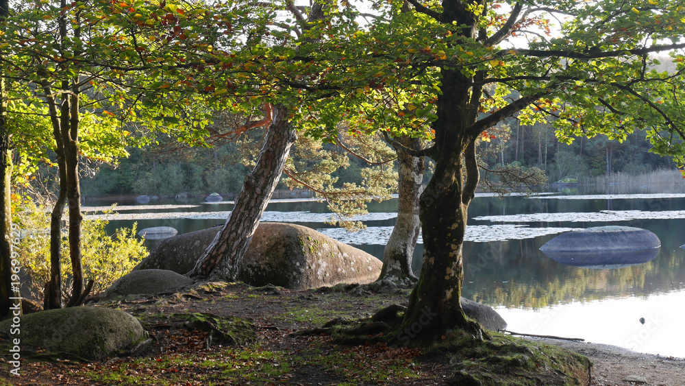 Lac du Merle Stock Photo | Adobe Stock