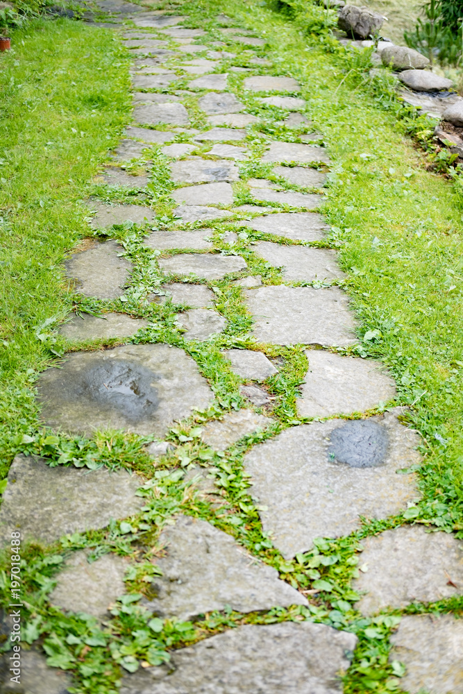 Stone pavement with grass sprouted between the stones,seamless tiles ...