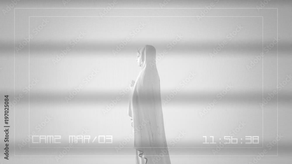 A CCTV security camera screen: the statue of Our Lady Madonna Mother ...