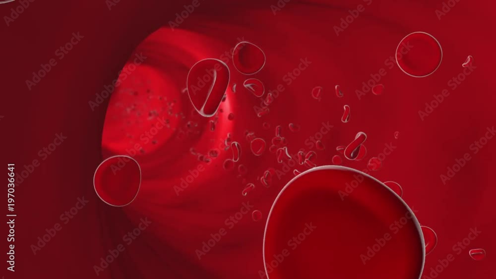 Blood Cells Moving Through a Blood Vessel Loop. a looping animation of ...