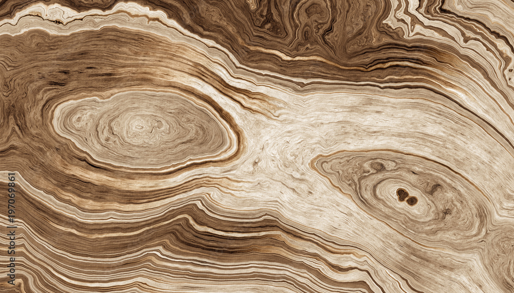 Tree roots background Stock Illustration | Adobe Stock