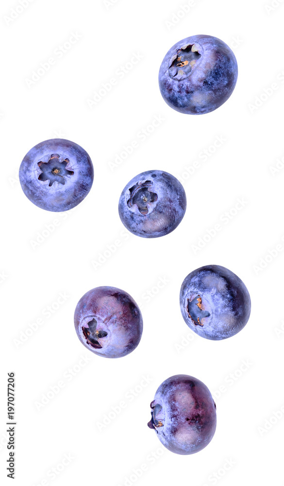 Isolated flying berries. Six falling blueberry fruits isolated on white ...