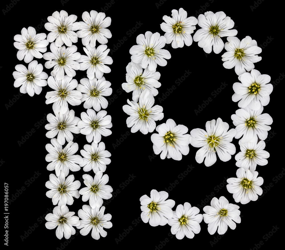 Arabic numeral 19, nineteen, one, nine, from white flowers of Cerastium ...