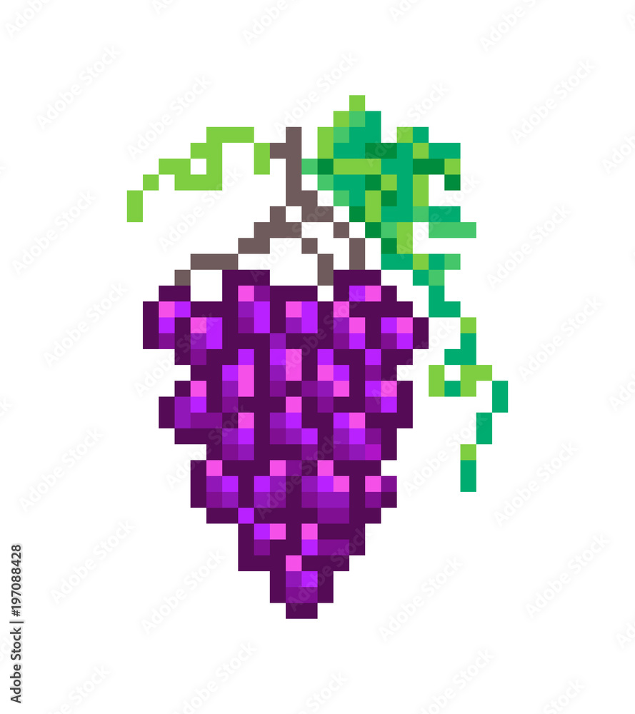 Bunch of black grapes with leaves and vine isolated on white background ...