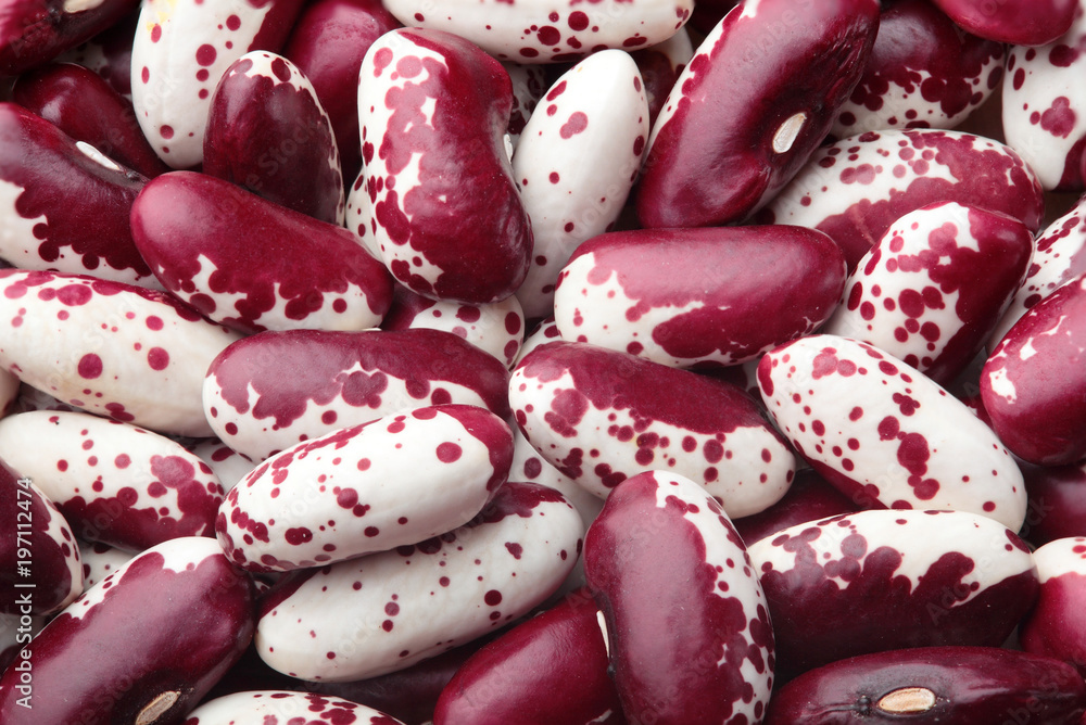 Texture of violet with dots beans.Beans handsome.Swallow beans ...