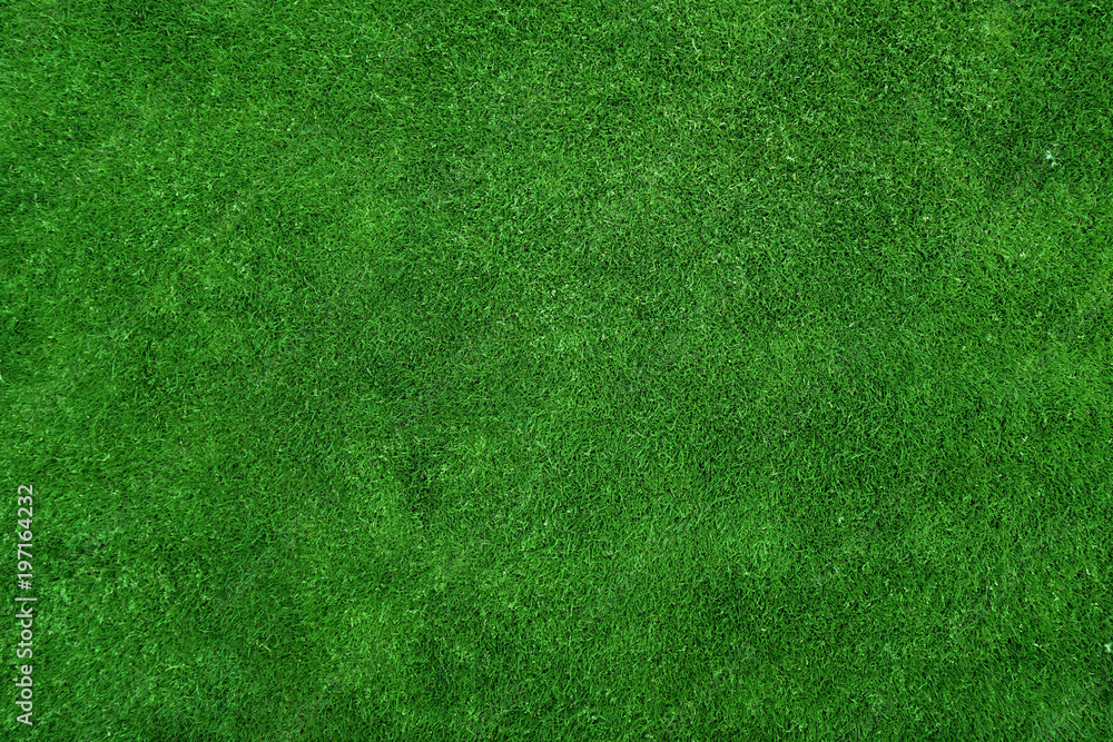 Green grass texture Stock Photo | Adobe Stock