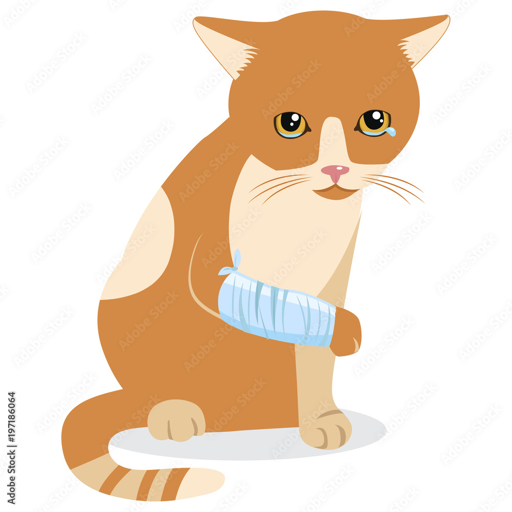 Cry Cat With Splinting Leg. Sad Crying Cat Cartoon Vector Illustration ...