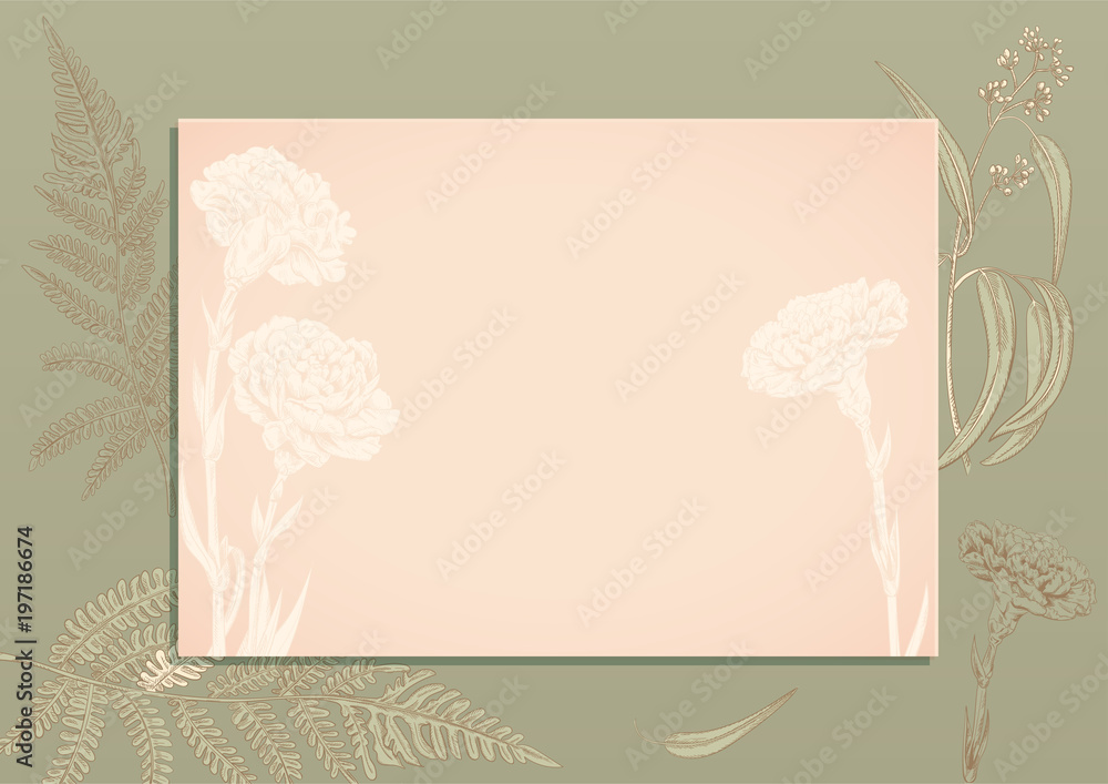 Horizontal rectangular frame, template for invitation: carnation schabaud, fern, eucalyptus ...