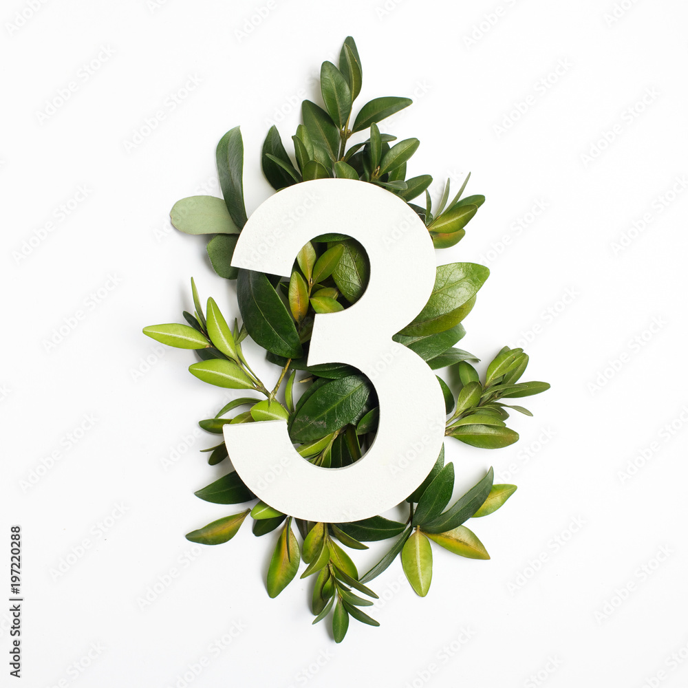 Number three shape with green leaves. Nature concept. Flat lay. Top ...
