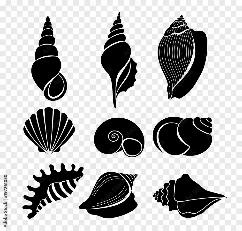 Vector illustration set of seashells silhouettes isolated on ...