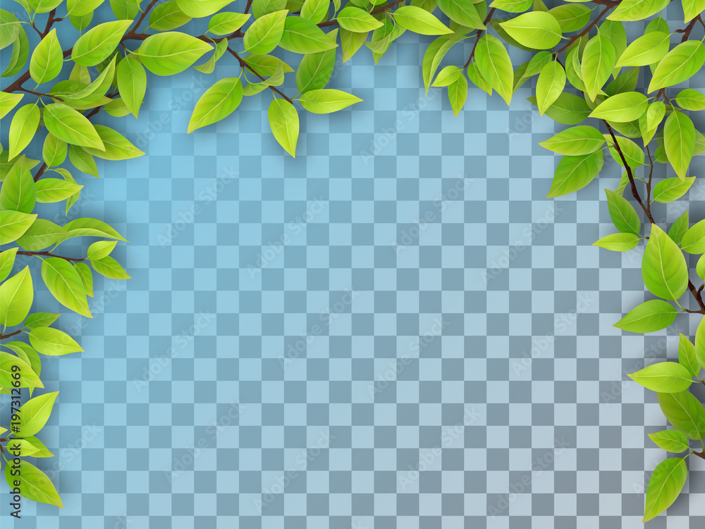 Realistic vector tree branches with green leaves in arch form. Element ...