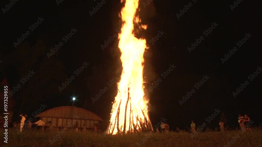 Big night bonfire burns in a clearing in the forest Stock Video | Adobe ...