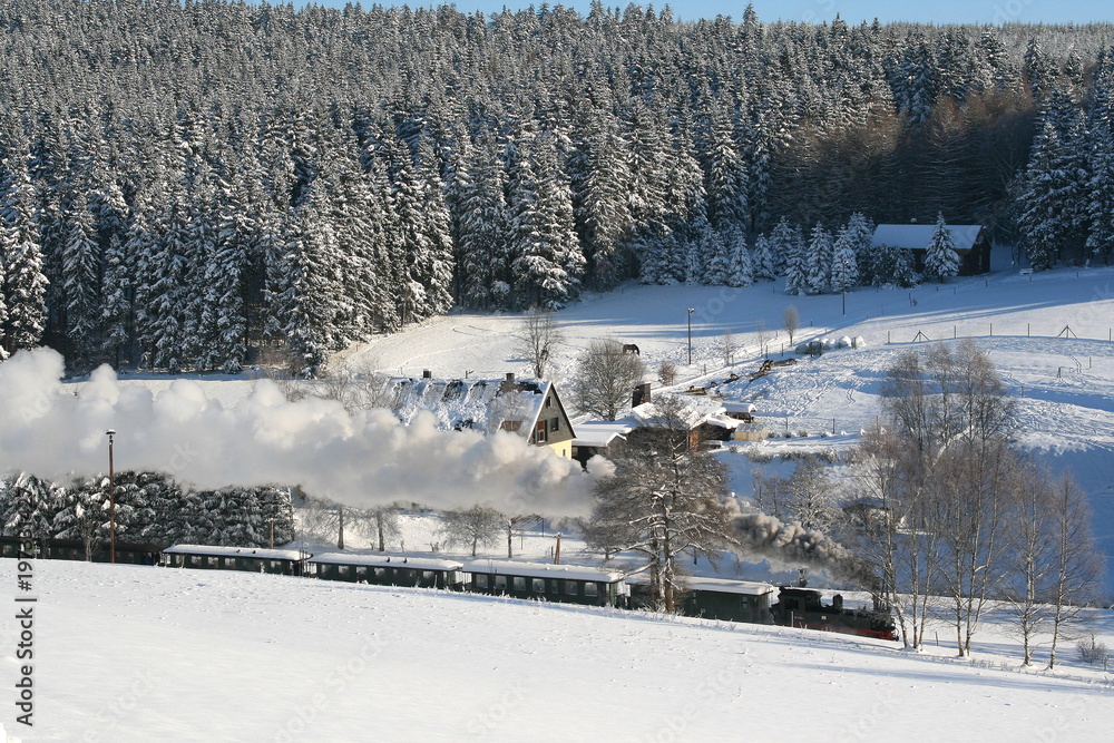 Dampflock in Winterlandschaft Stock Photo | Adobe Stock