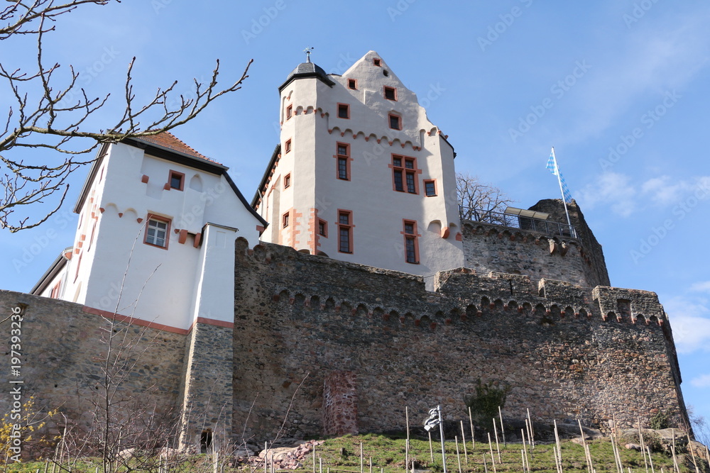 Die Burg Alzenau im Zentrum der Stadt Alzenau Stock-Foto | Adobe Stock