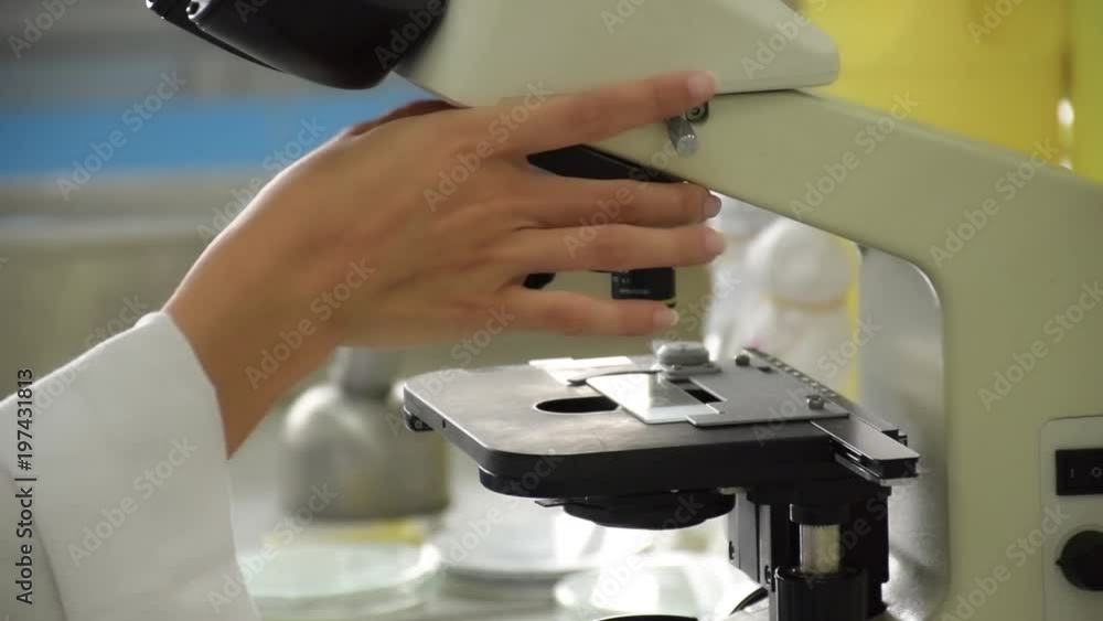 Closeup of scientist hand adjusting fixing and setting microscope and ...