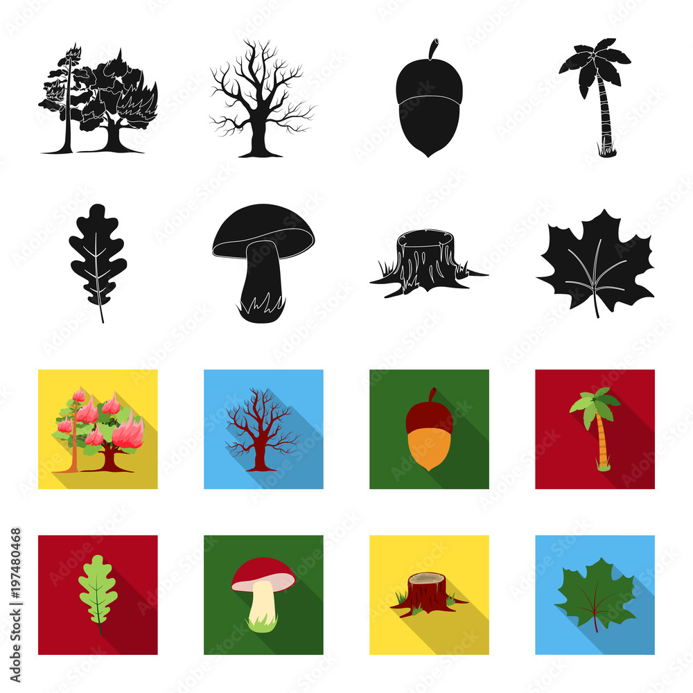 Oak leaf, mushroom, stump, maple leaf.Forest set collection icons in ...