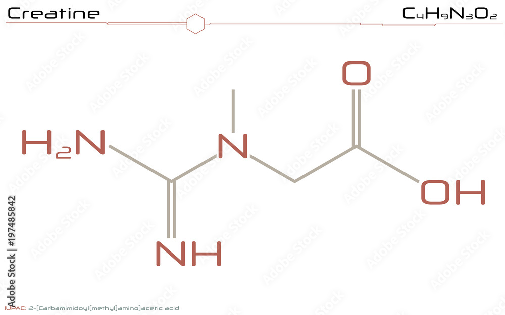 Large and detailed infographic of the molecule of Creatine Stock Vector ...