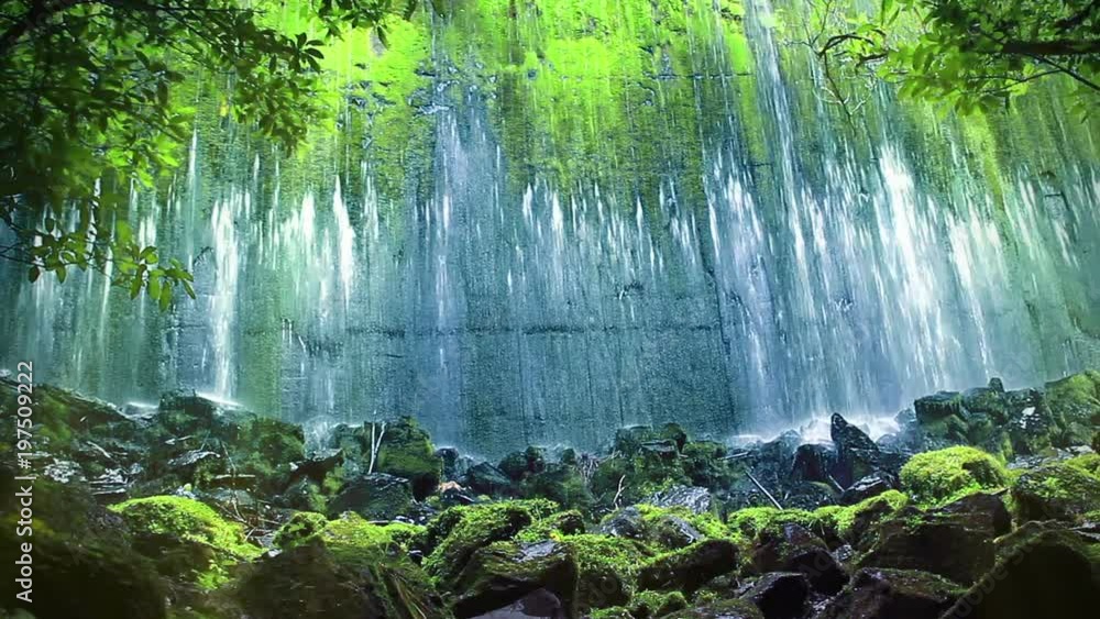 Stockvideon A wall of water flows from an old mossy historic disused ...