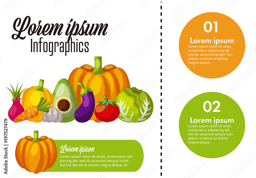 Infographic with Illustrations of Vegetables Stock Template | Adobe Stock