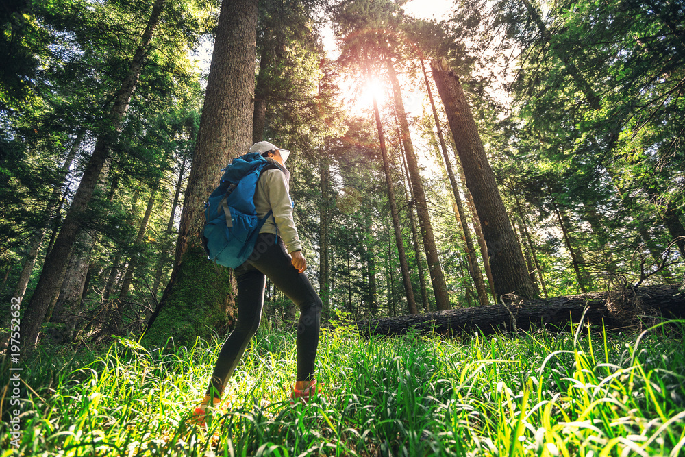 woman hiking through forest Stock Photo | Adobe Stock