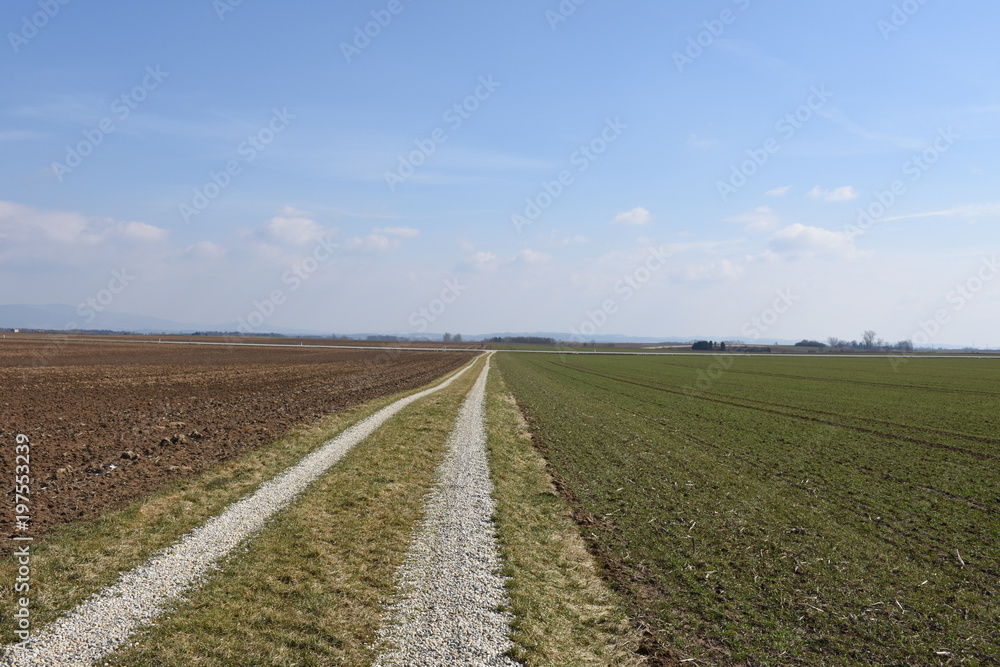 Niederbayern, Bayern, Aholming, Deggendorf, Frühling, Felder ...