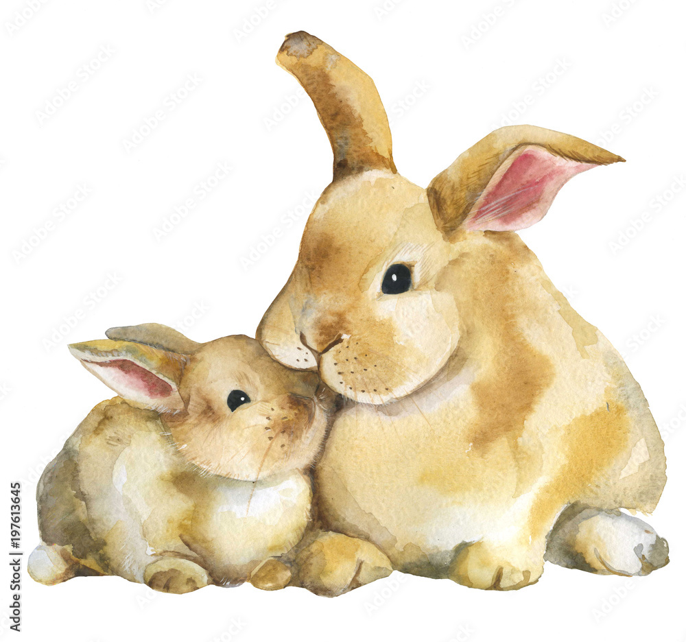 Rabbit.Mother and baby. Stock Illustration | Adobe Stock