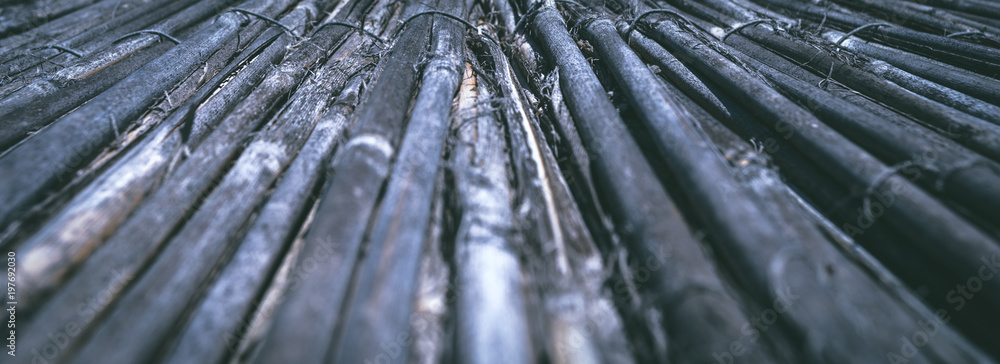 Tree texture. Straw umbrella texture. Leading lines of straw umbrella ...
