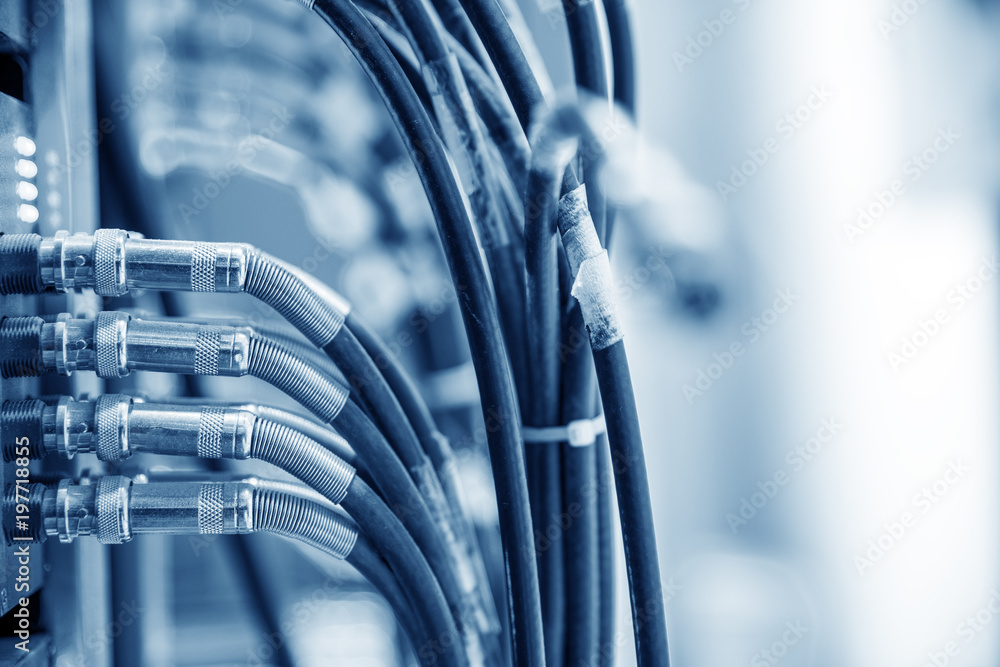 network cables connected to a switch and patch-panel,internet concept ...