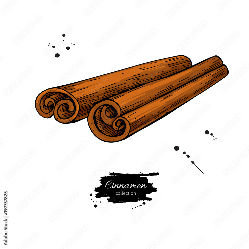 Cinnamon stick vector drawing. Hand drawn sketch. Stock Vector | Adobe ...