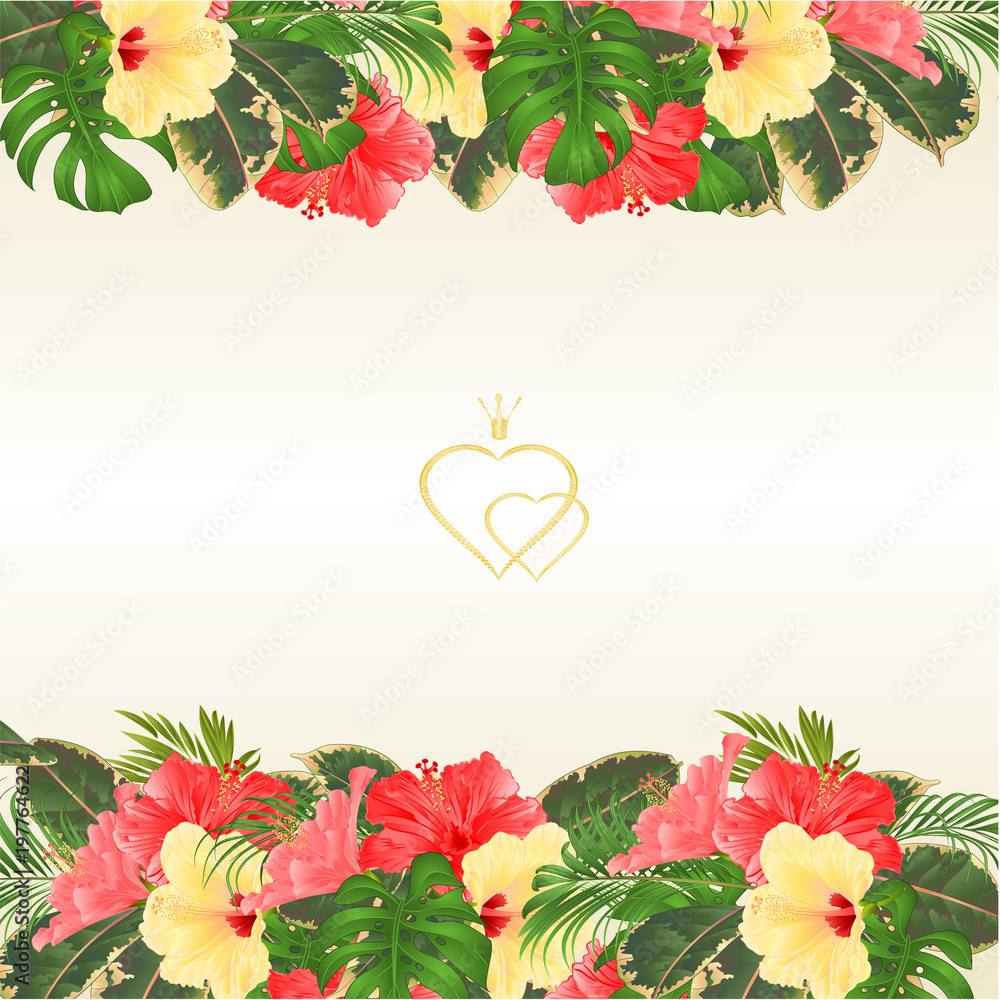 Floral border with blooming various hibiscus and tropical leaves vector ...