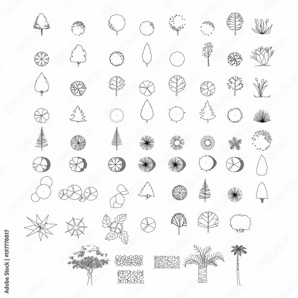 Top View And Side View Set Of Graphics Trees Elements Outline Symbol top-view-and-side-view-set-of-graphics-trees-elements-outline-symbol