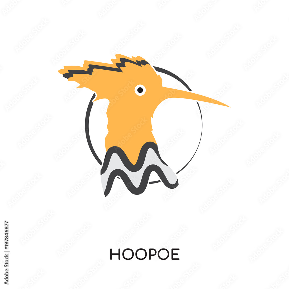 hoopoe logo isolated on white background for your web, mobile and app ...