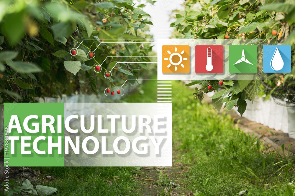 Raspberry greenhouse with information symbols. Internet of things in ...